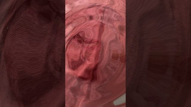 #Супер Влад# был в сакуре и китае