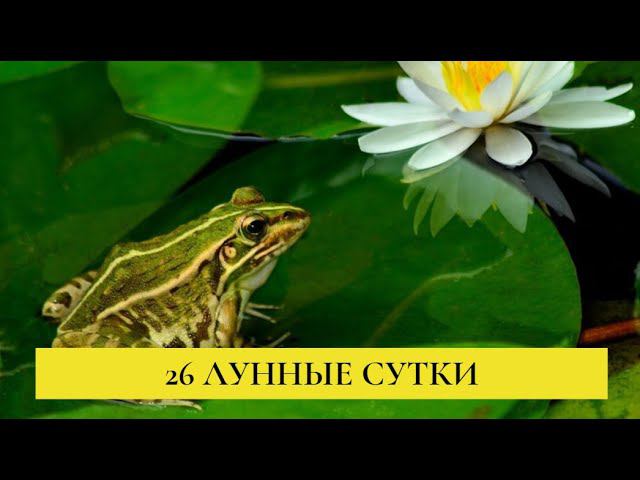 26 ЛУННЫЕ СУТКИ