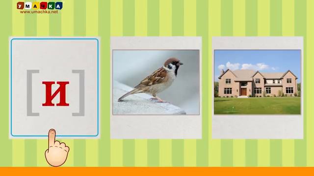 Алфавит русский Учим Буквы и Звуки с Кругляшиком - Буква Й