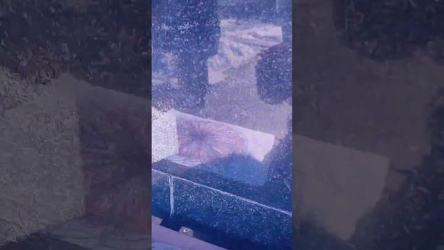 КАРТИНА ДЛЯ МЕДИТАЦИИ СОЗДАНА В МЕДИТАЦИИ | АРТ ТЕРАПИЯ | КАТЯ ИКС | КАТЯ Х | ОНЛАЙН ШКОЛА ИСКУССТВ