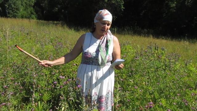 Сладкий аромат лугов. Аркадий Букетов. Перевод Галины Этэгэн