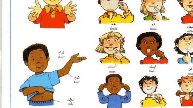 1000 слов на арабском языке # 13.