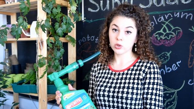 Тля - самый распространенный вредитель сада.  Как с ним легко и быстро справиться