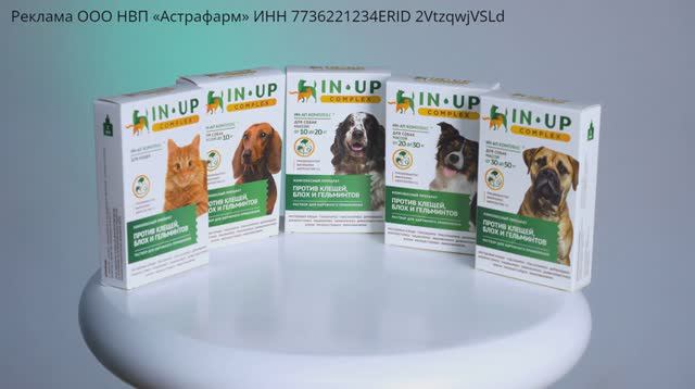 Инструкция по применению комплексного препарат от глистов, блох и клещей IN-UP complex