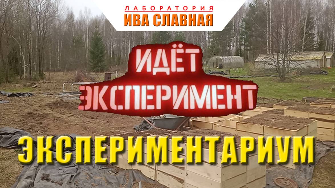 Лаборатория Ивы Славной: Экспериментариум (10.04.2024)