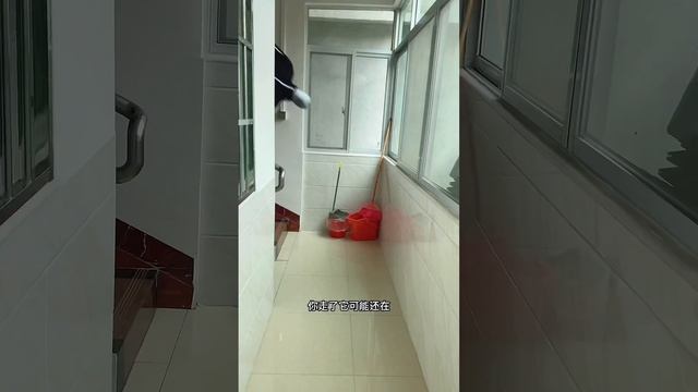 Anime.Uz: TikTok BEST VIDEO #54 #shorts