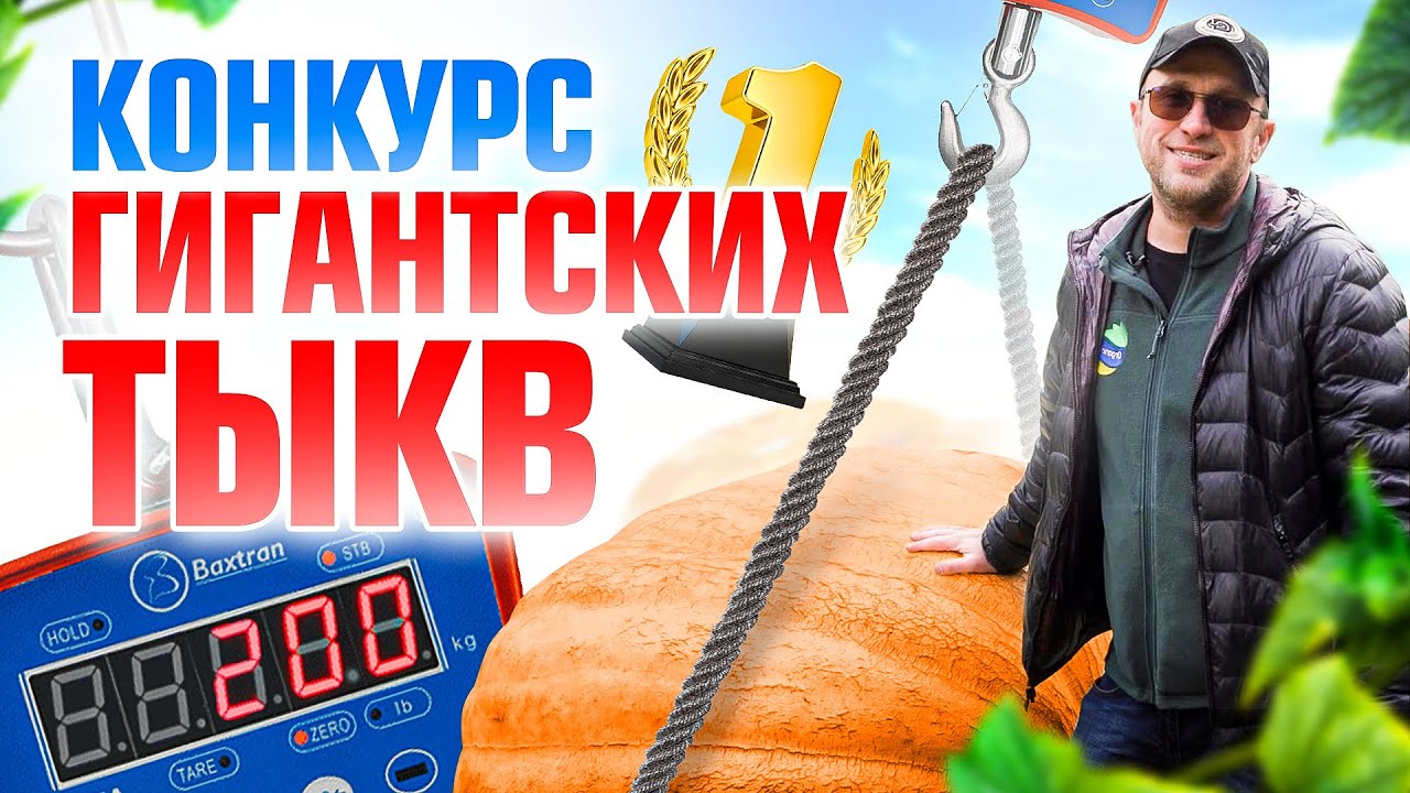 Всероссийский конкурс по выращиванию гигантских тыкв / Илья Макаров