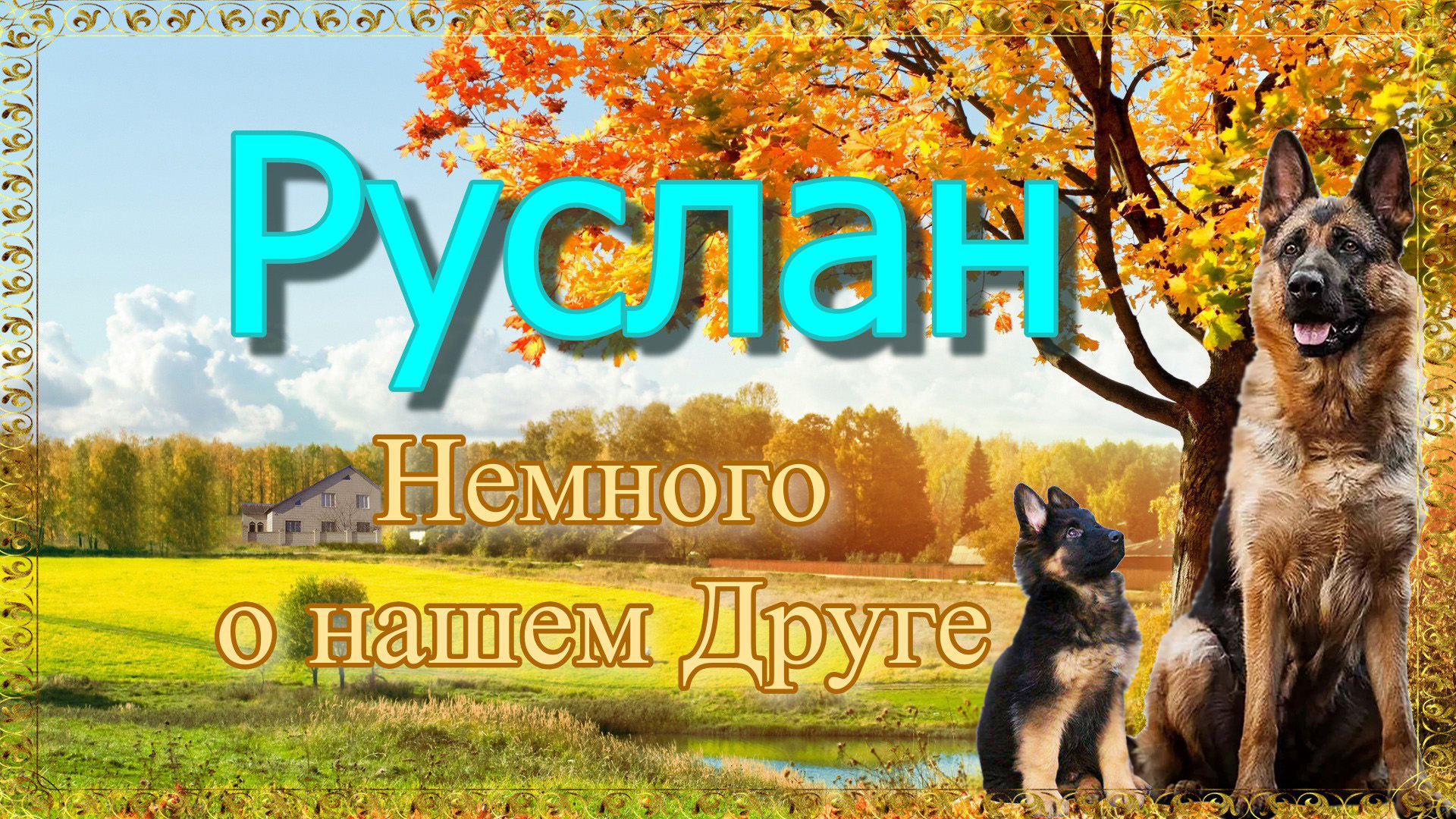 Руслан. Немного о нашем Друге, о немецкой овчарке по имени Руслан..mp4