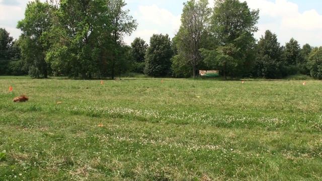 Кубок Клуба. Софья и Венди..mp4