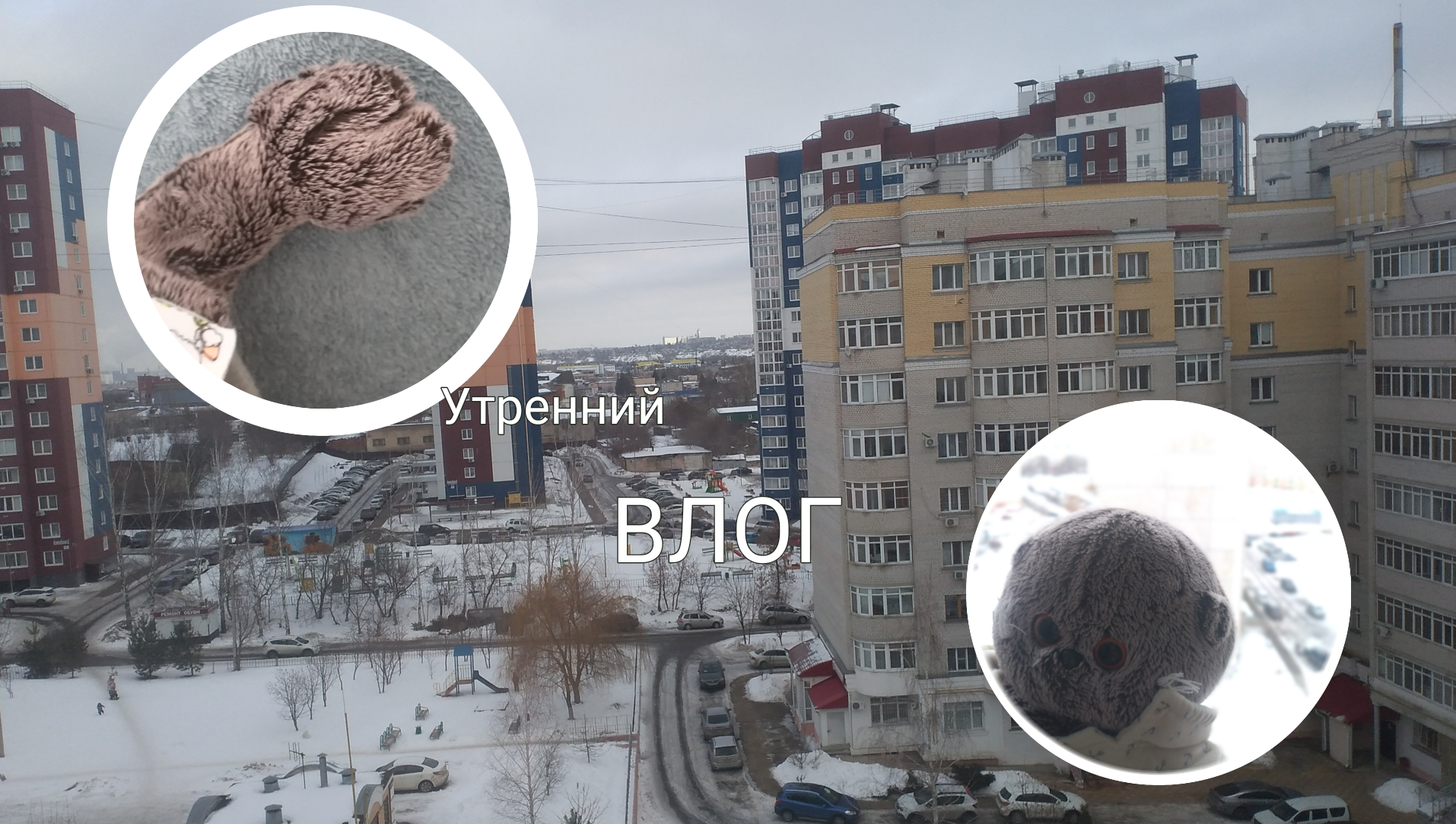 Утренний влог? что с лапой басика?