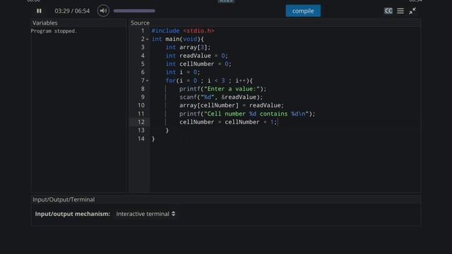 Assign array elements from user input
