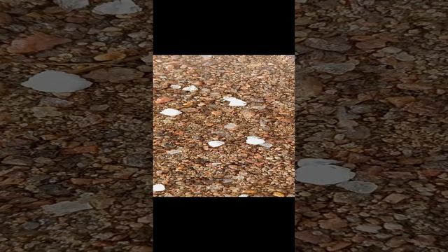 ПАРК БАБУШКИНА КОЛЕСО ОБОЗРЕНИЯ ЭТО ПИТЕР ДЕТКА ТИПИЧНЫЙ ВЕСНА ПРИРОДА