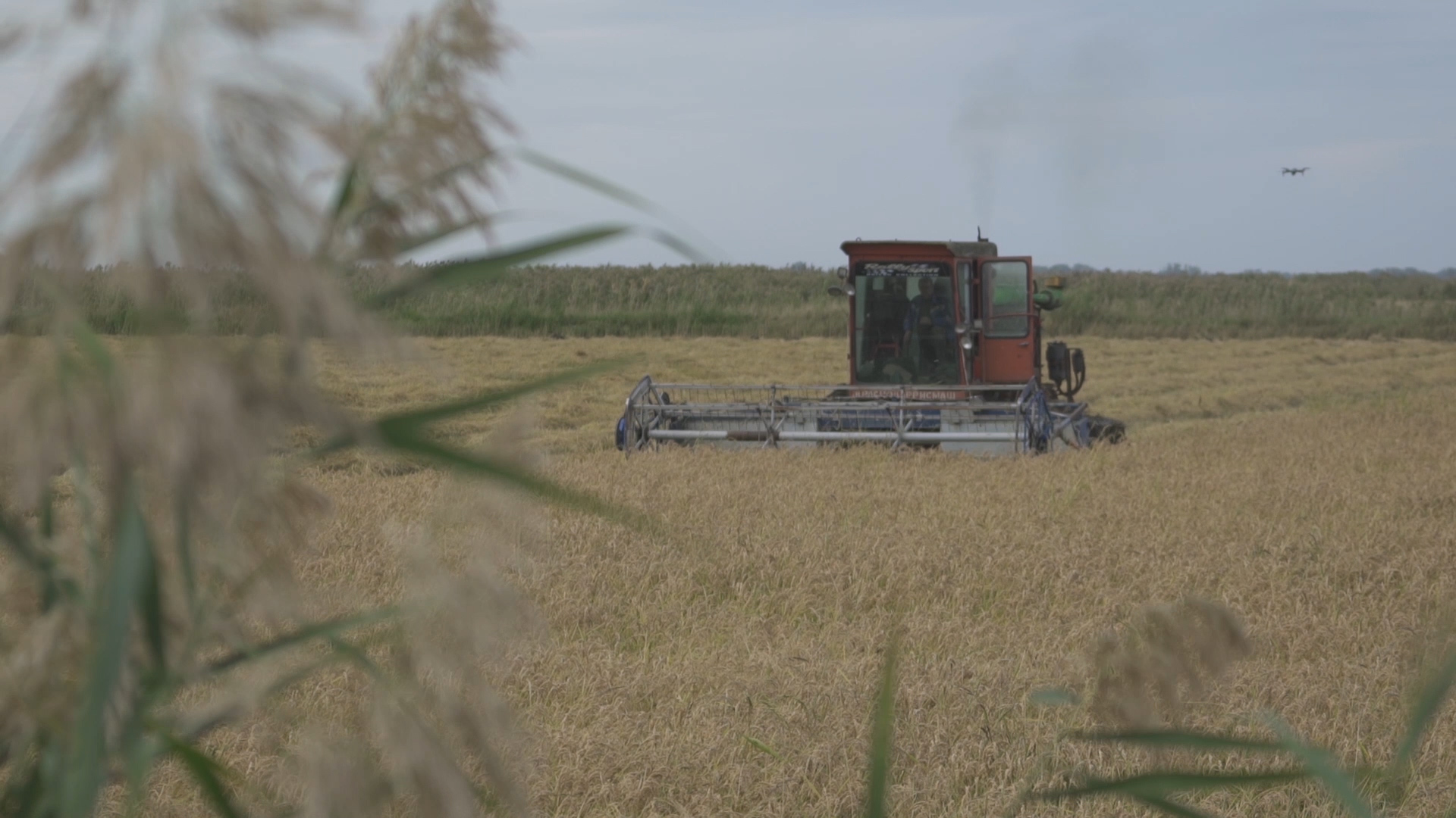 Рис I Кубанский аграрный клуб 21.10.22