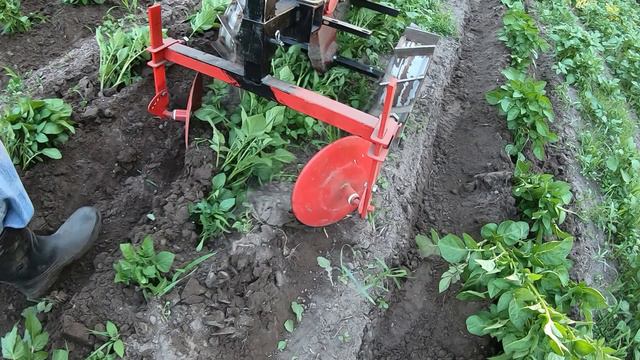 Окучивание картофеля.