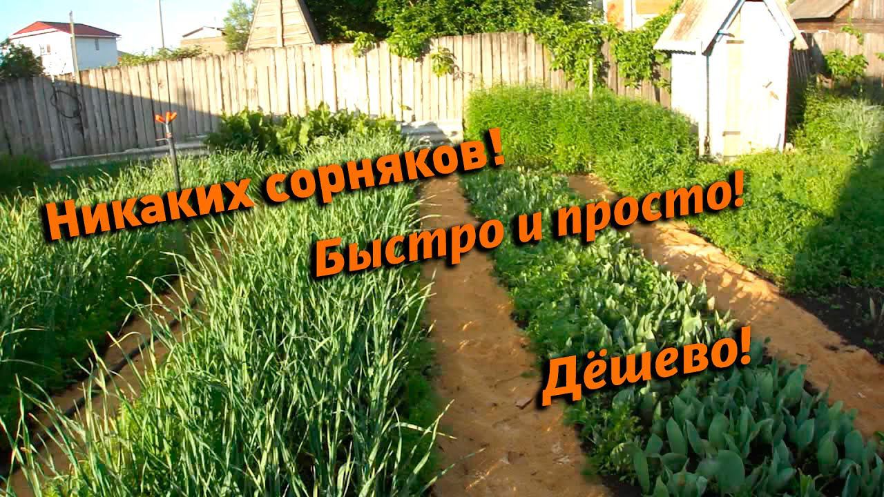 Дорожки меж грядок - быстро, просто, дешево!
