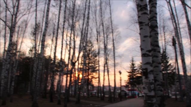 "Мрачность". Зина Парижева