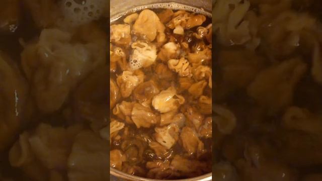 Готовим сморчки и строчки, а также саркосцифу.