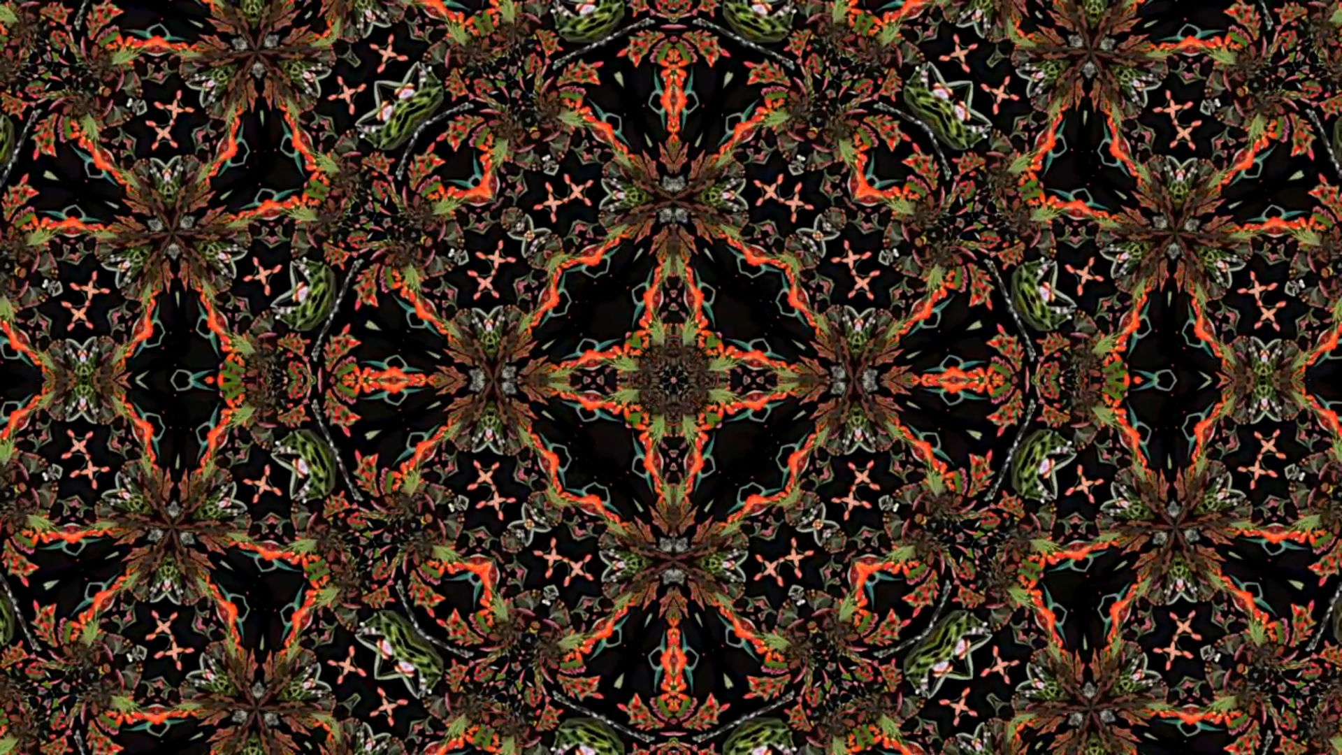 Футажи! Комплект Футажей Планета тюльпанов 8 от Киностудии Мудрого Кота Тимофея!