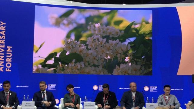 25МПЭФ. Презентация лучших туристических маршрутов регионов АЗРФ (Коми, ролик).