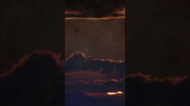 Колесо Фортуны #музыка #banananu #бананану