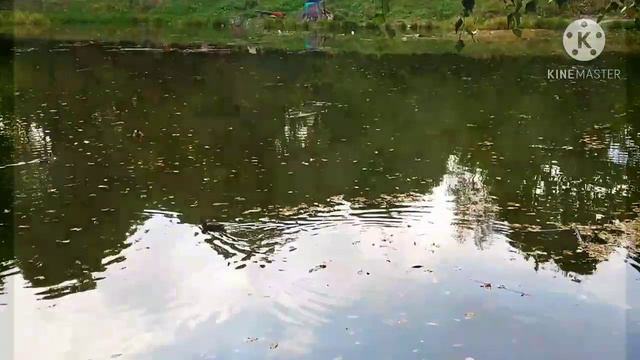 Осенний пруд