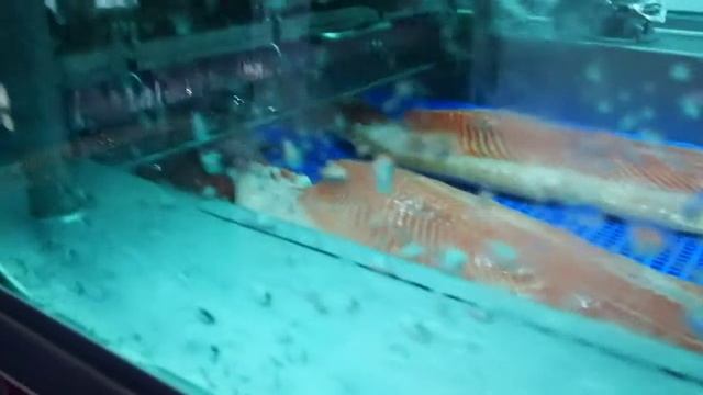 Лучший инъектор для рыбы с тонкими иглами. Быстрый и равномерный посол