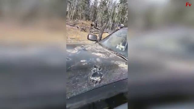 Миша постарался.