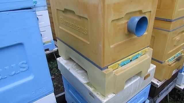 ошибки пчеловода при контрольной обработке пчел от клеща Варроа.