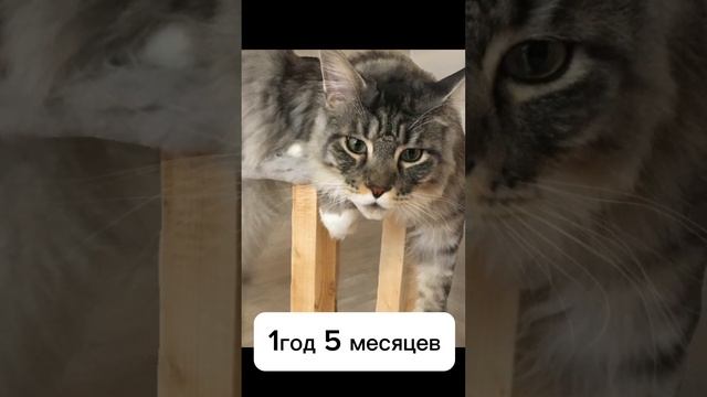 Как Марс изменился за год