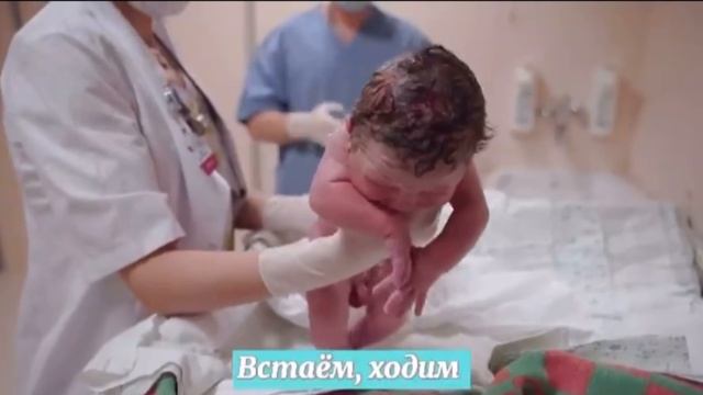 Чудо рождения жизни