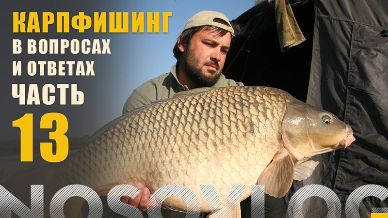 Карпфишинг в вопросах и ответах, выпуск 13, Колесников А.