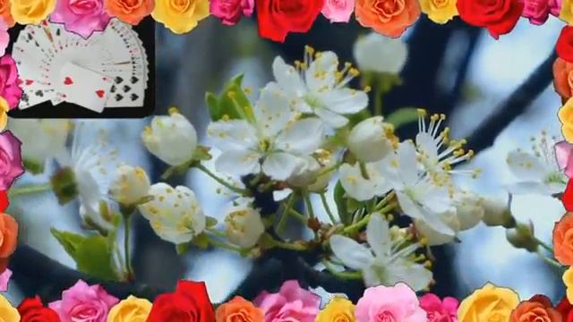 Погадай,цыганка! Музыка Елены Кузнецовой,ст Елены Есауловой,поет Галина Погорельская 2 вар.mp4