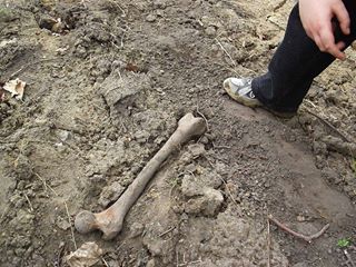 Еще раз про Куликовскую битву...