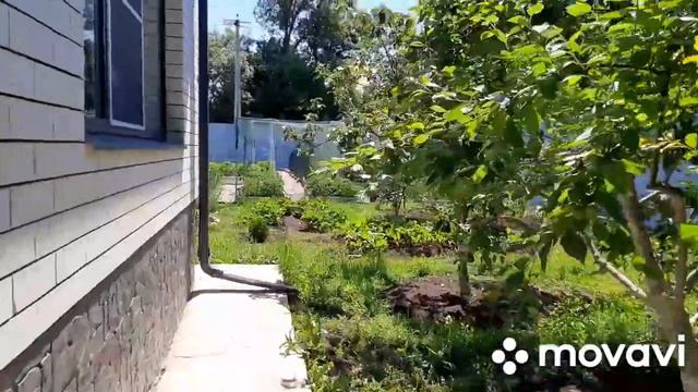 21-22 мая. Покос после дождей. Таз черешни. Букет невесты.