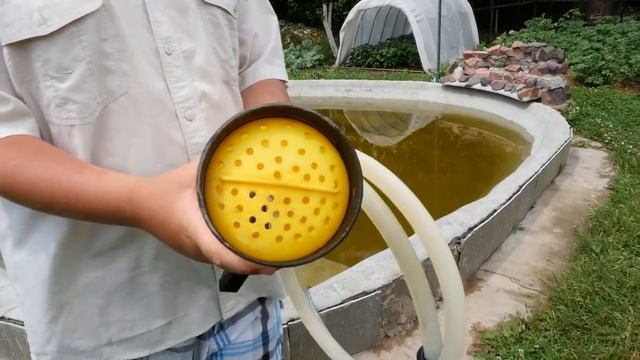 Борьба с голубями. Бесплатный фильтр для бассейна на приусадебном участке.mp4