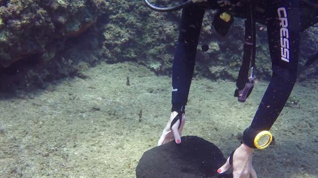 Спанч Боб.mp4