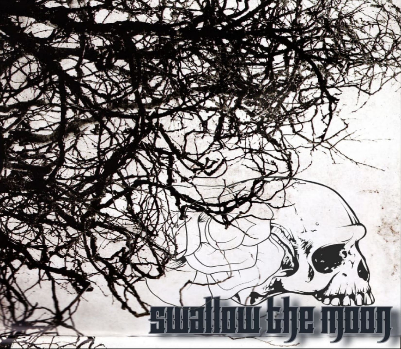 swallow the moon  (LP)