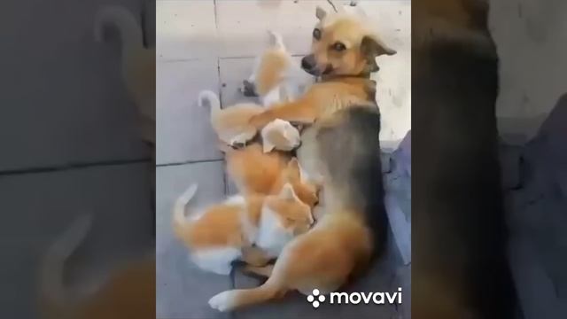 весеннее настроение, праздники