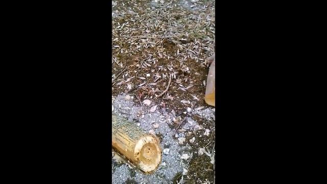 Амулет своими руками. Подбор материала для изготовления.