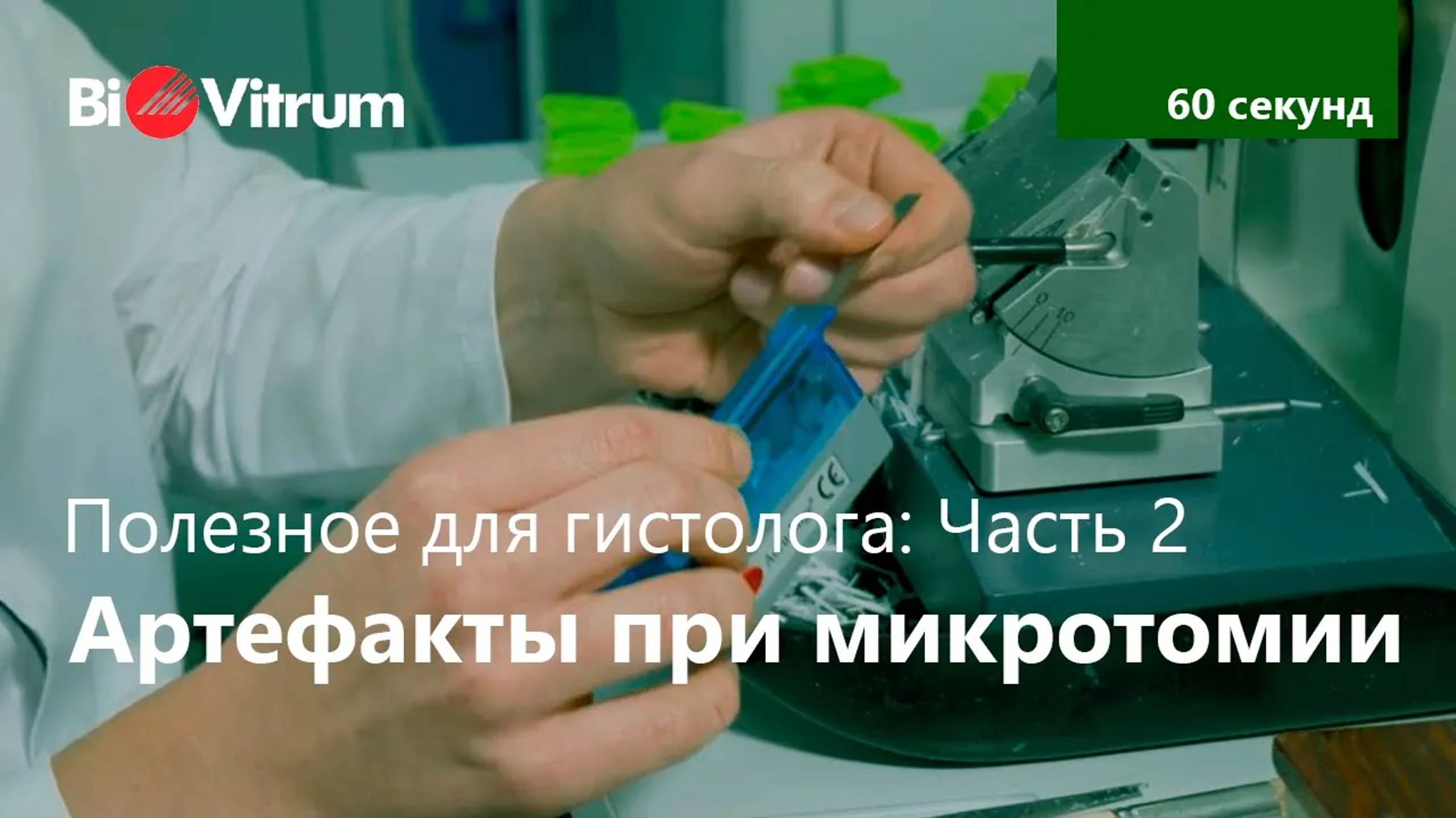 Артефакты при микротомии: Часть 2
