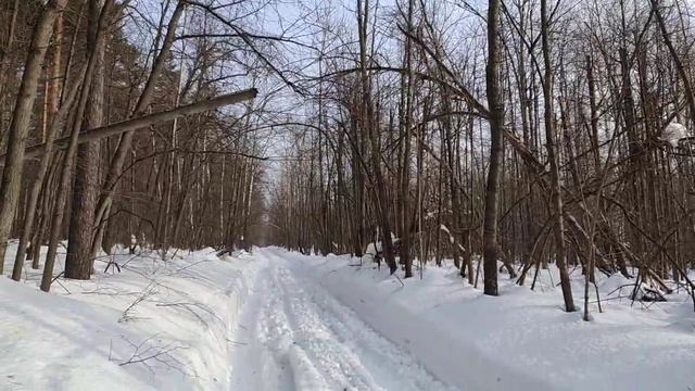 ЧИЛИМ С ТЕРМОСОМ НА БРЕВНЕ
