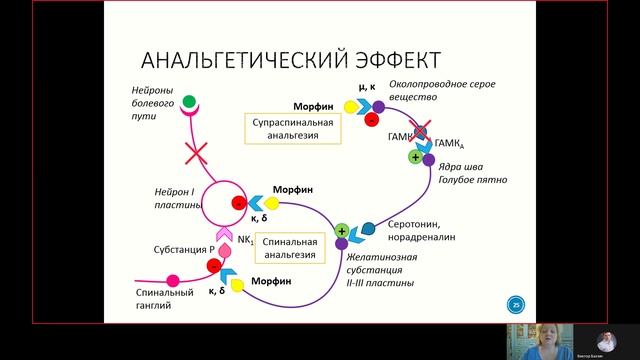 Фарма ВСЕ 5.3. Наркотические анальгетики.mp4