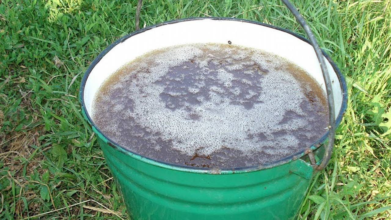 Как избавиться от травы и сорняков за 3 секунды!!.!!.!!..