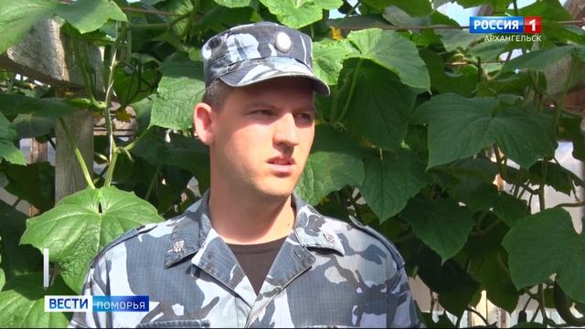 Вести Поморья_Тепличное хозяйство