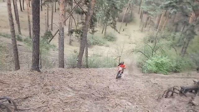 Мото покатушки в сосновый бор