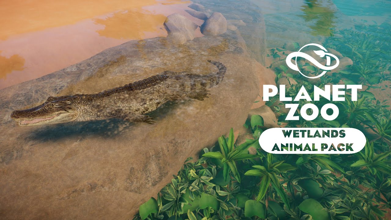 Planet Zoo Wetlands - Каймановый кроко