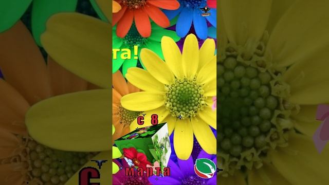 с 8 марта!