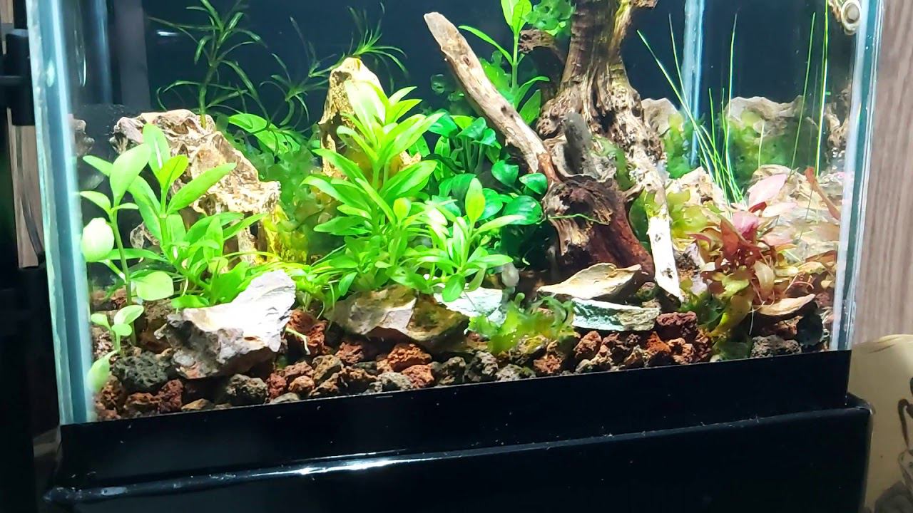 Мини аквариум DIY