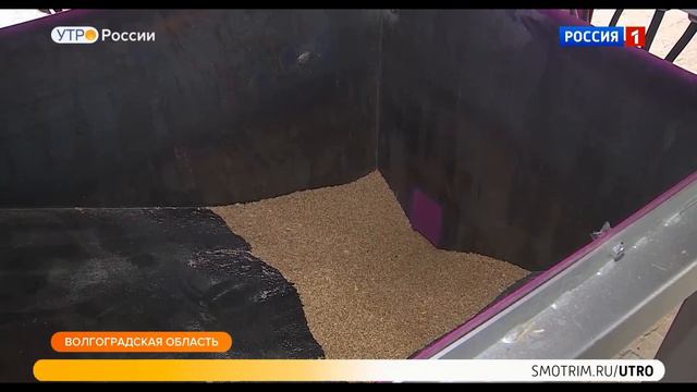 Крупозавод ЖАСКО в передаче Утро России