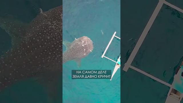 Рушится не чей-то мир, рушится наш общий ДОМ #кино #блог #жизнь